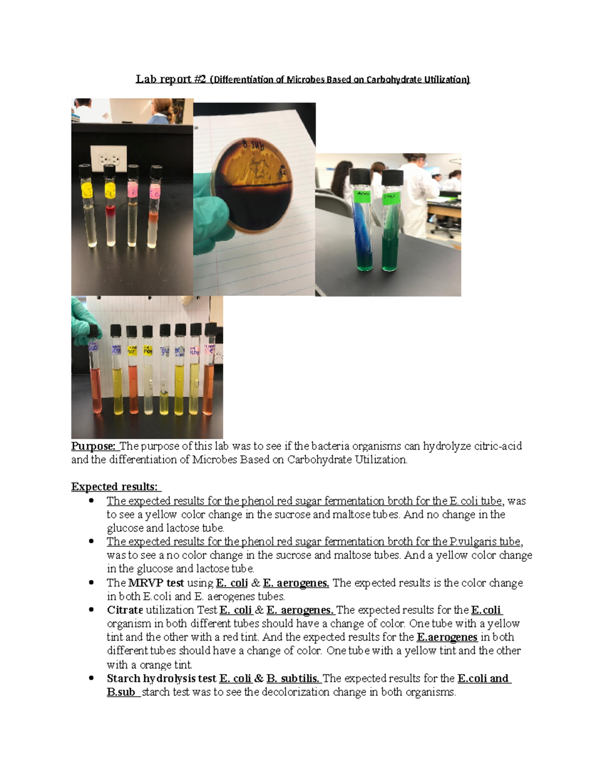 Micro Lab 2 - LAB ASSIGNMENT - Lab report #2 (Differentiation of ...