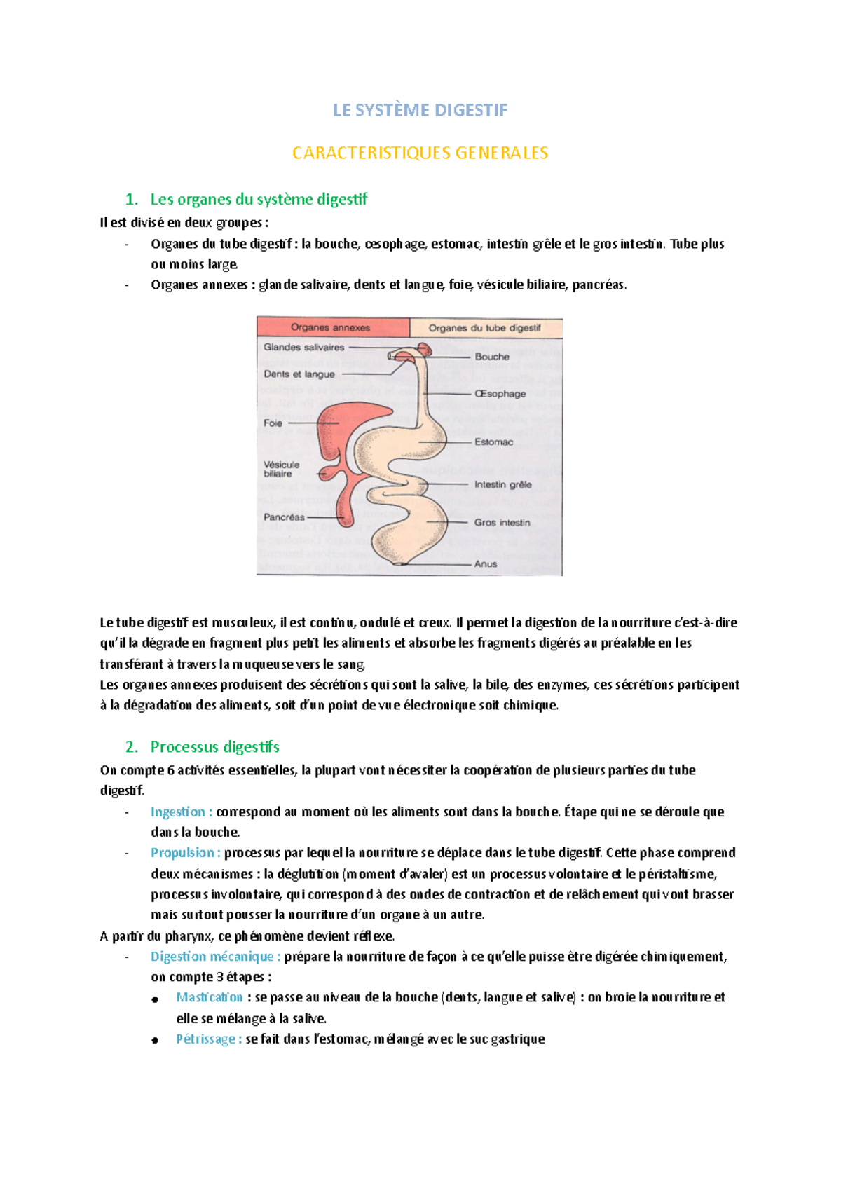 Le système digestif CM - LE SYSTÈME DIGESTIF CARACTERISTIQUES GENERALES ...