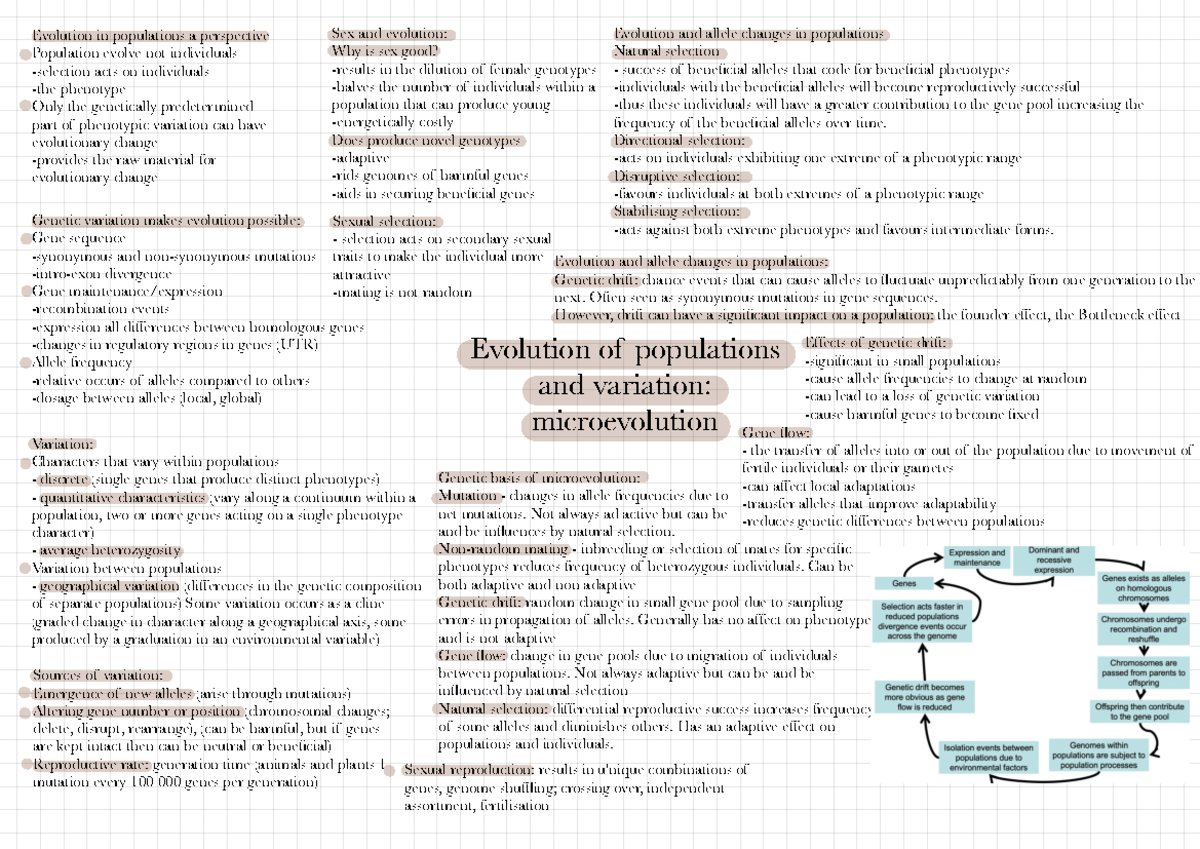 Evolution Of Populations And Variation- Microevolution - Evolution of ...
