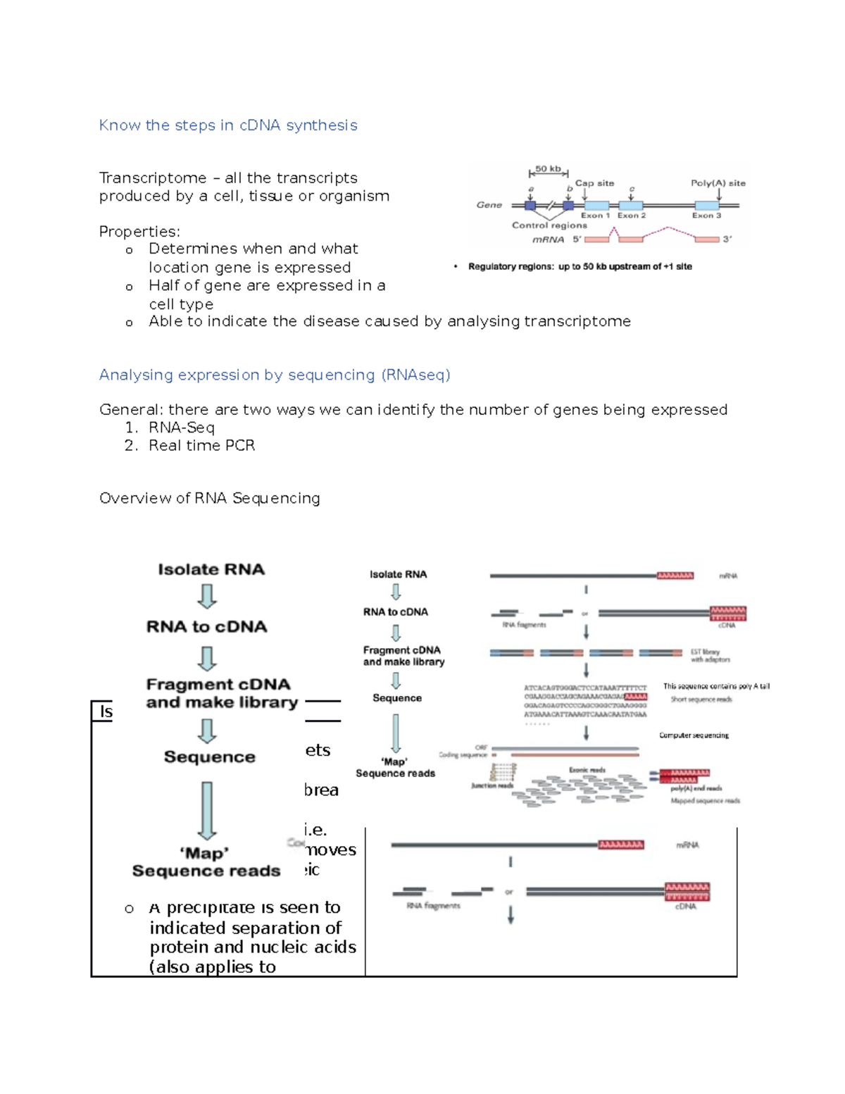 BIOC221 L5 - Transcriptome analysis - Know the steps in cDNA synthesis ...