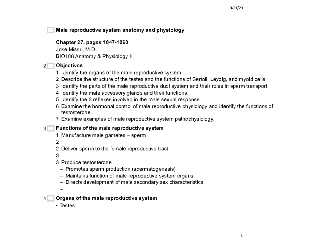 Lecture 20 - Male reproductive system anatomy and physiology - 3/31/ 1 ...