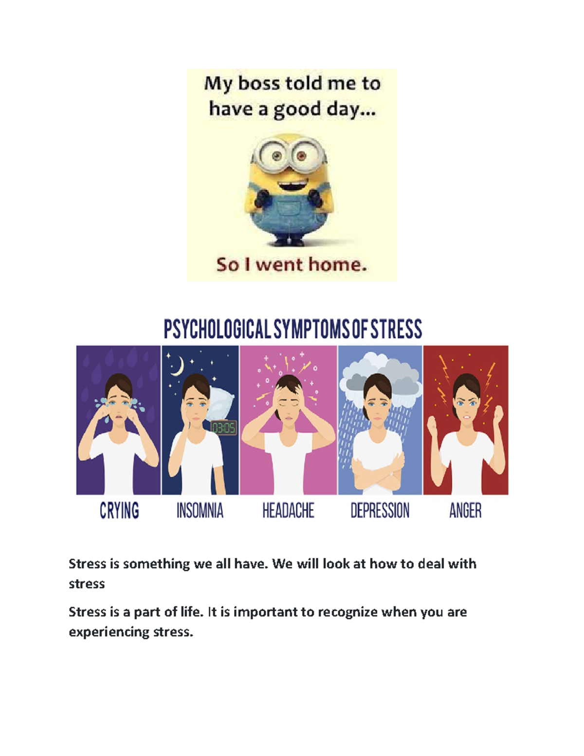 ELL Stress - A assignment - Stress is something we all have. We will ...