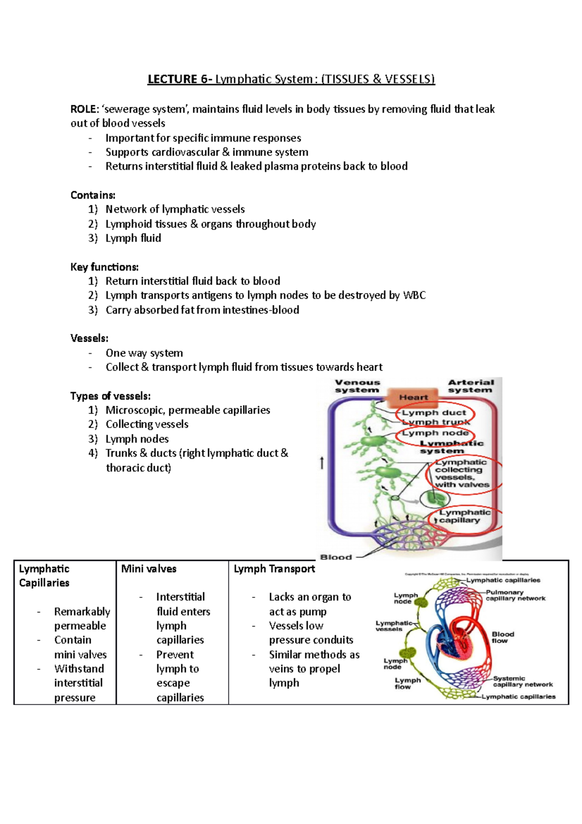 Lymphatic System Sheet - Lecture notes 6 - SPS1301 - ECU - Studocu