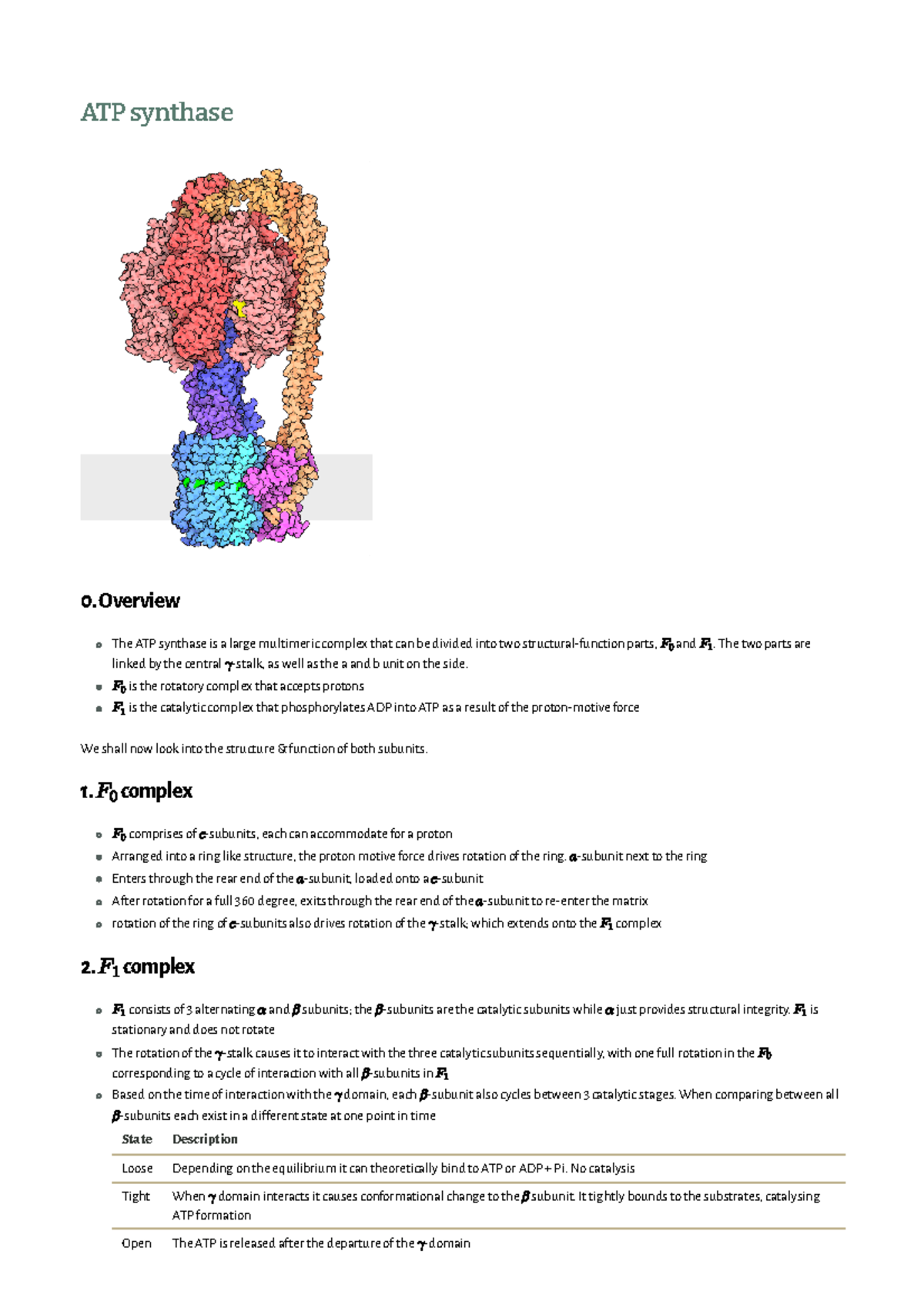 ATP synthase - Overview We shall now look into the structure & function ...