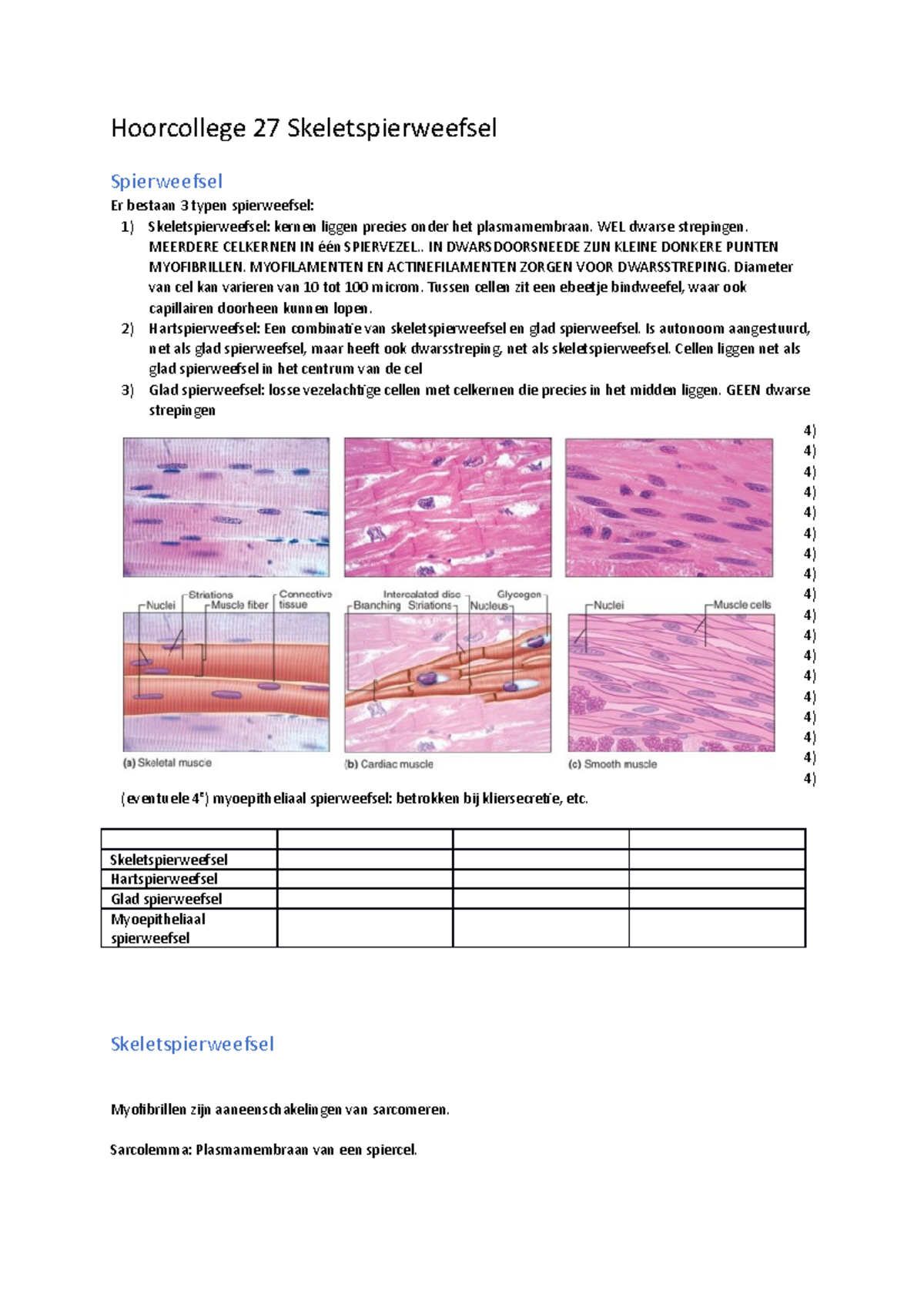 Hoorcollege 27 Skeletspierweefsel - Hoorcollege 27 Skeletspierweefsel ...