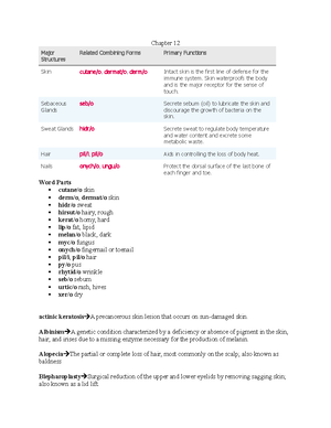 Chapter 2 - Chapter 2 Anatomic Reference systems terms used to describe ...