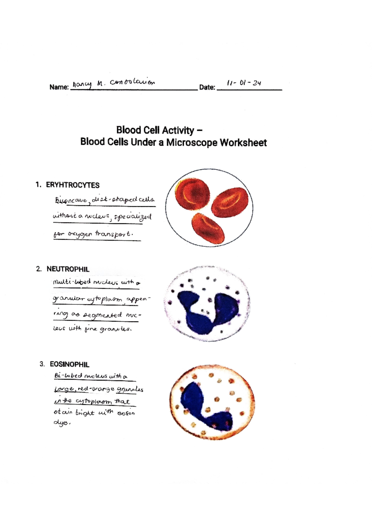 MLSP Blood Act - Medical Laboratory Science Program - Name: nancy M ...