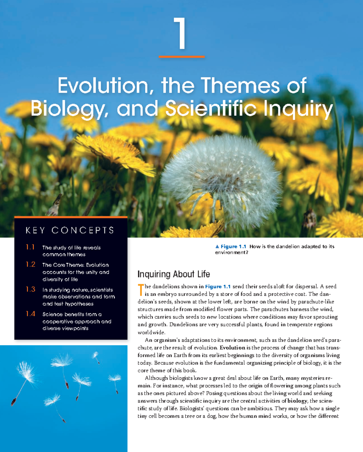 Lesson 1 - Unity IN Diversity - 1 Evolution, the Themes of Biology, and ...