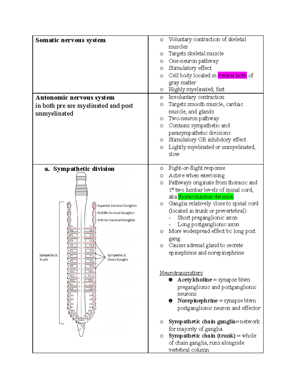 Mod 10- Autonomic Nervous system - Somatic nervous system o Voluntary ...