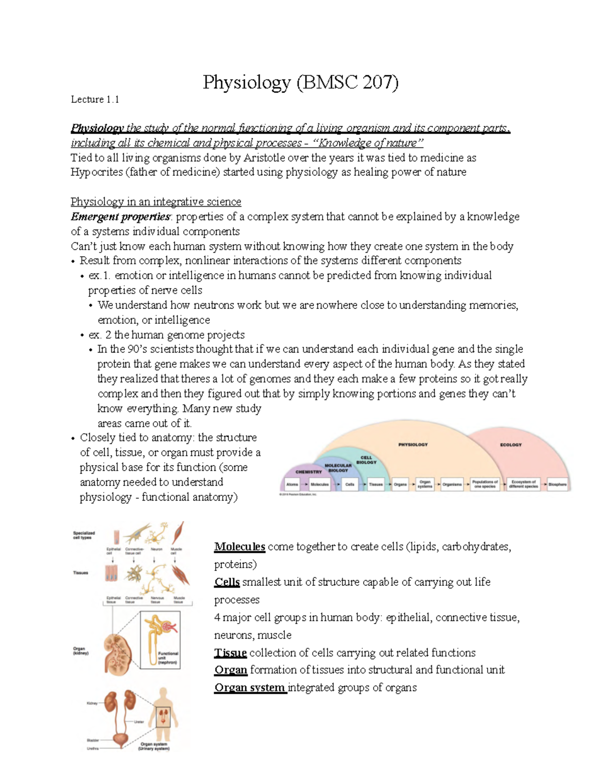 Module 1 - Physiology (BMSC 207) Lecture 1. Physiology the study of the ...