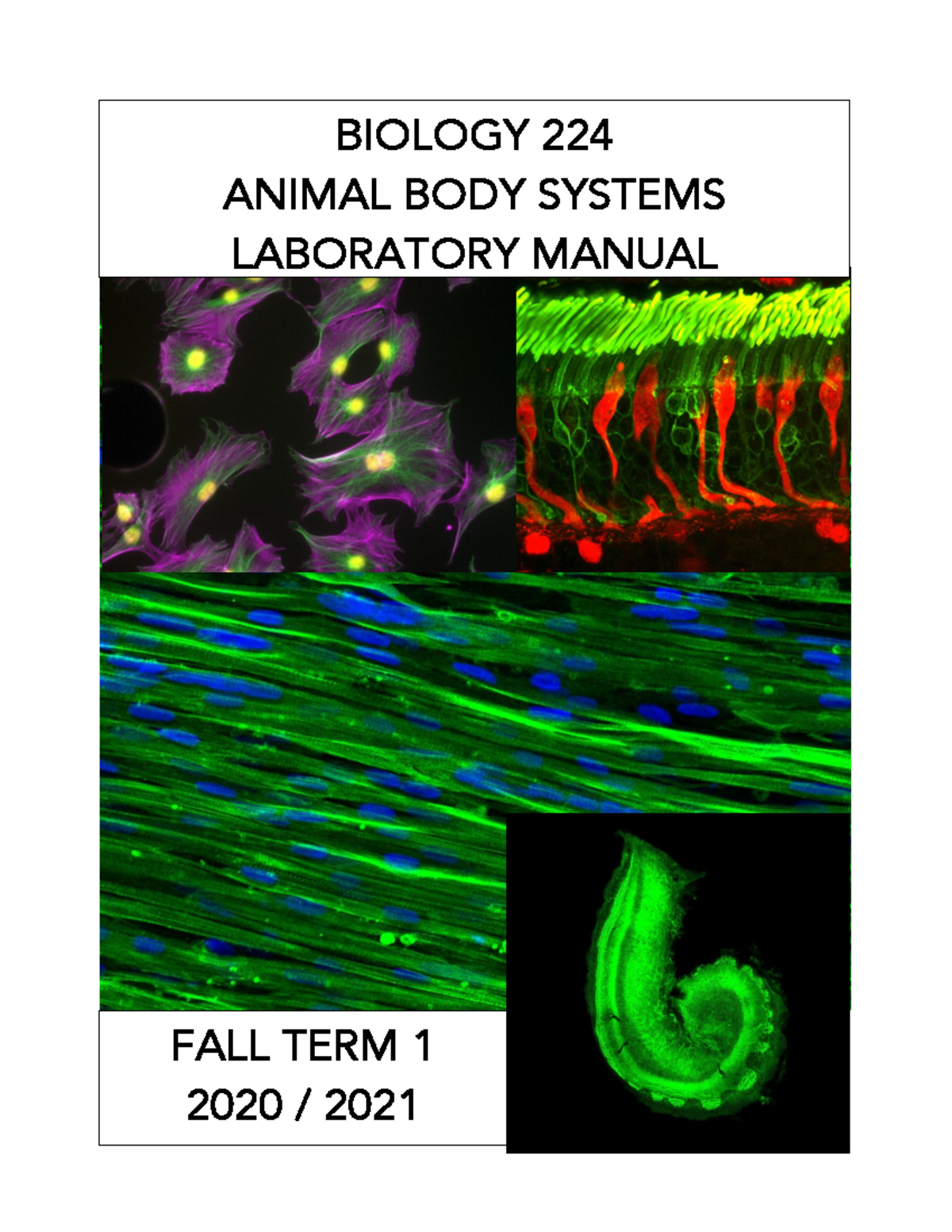 Biol 224 Lab Manual 2020-2021 Term 1 - BIOLOGY 224 ANIMAL BODY SYSTEMS ...