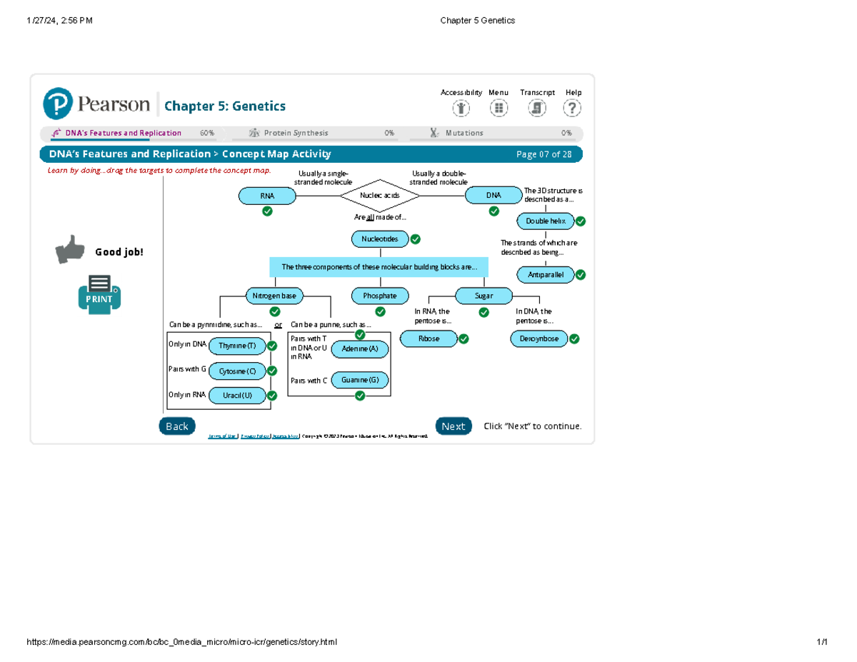 Chapter 5 Genetics - 1/27/24, 2:56 PM Chapter 5 Genetics - Studocu