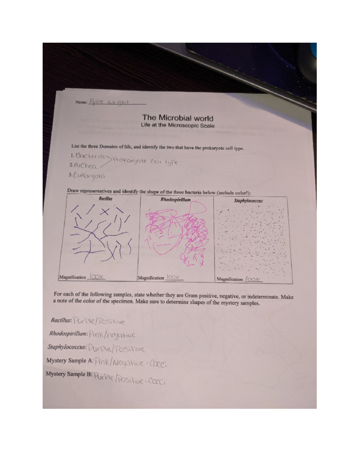 Microbial World Worksheet - BIOL 1510 - StuDocu