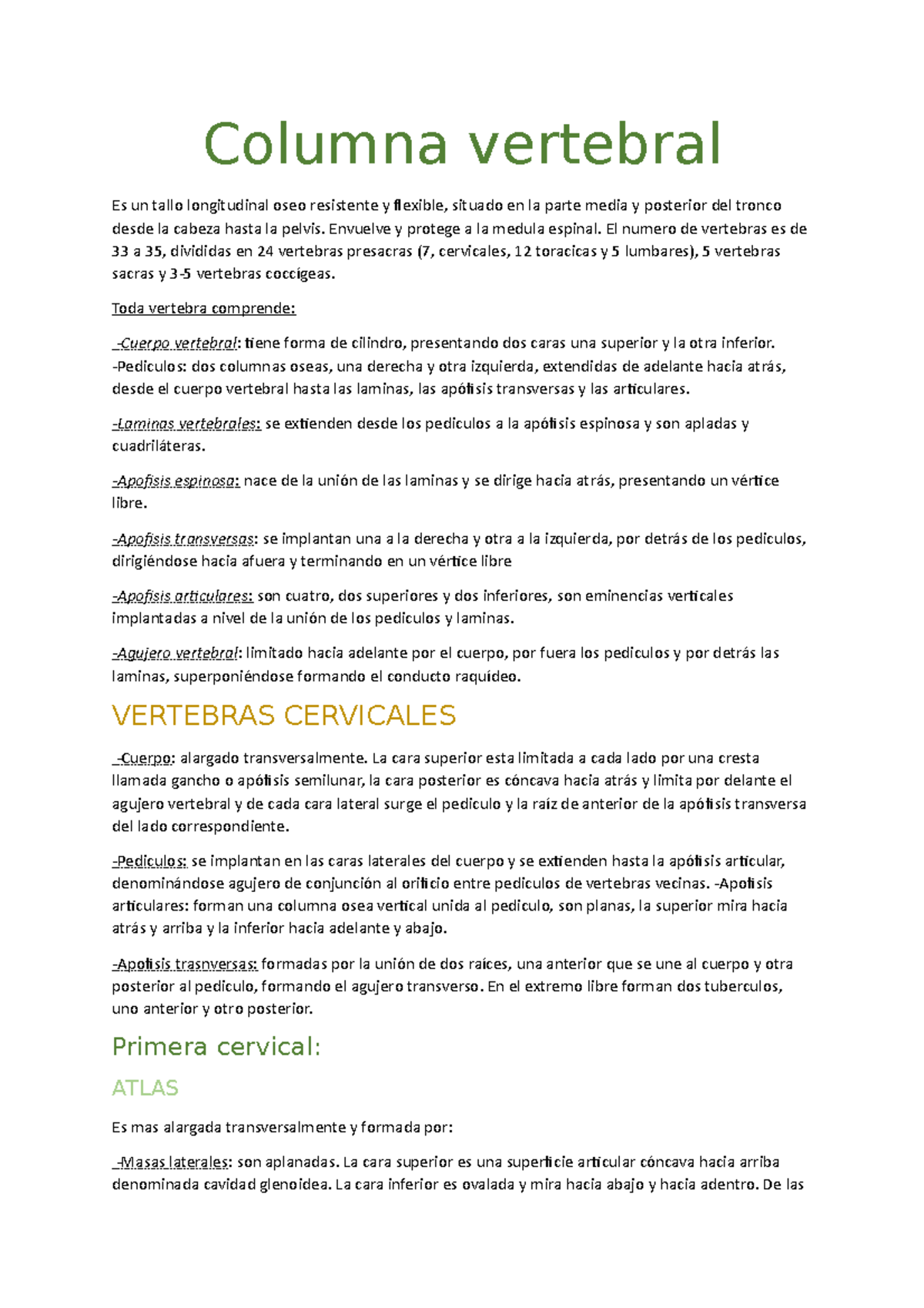 Columna 1 - ffffffffffffffffffffffffffffffffff - Columna vertebral Es ...