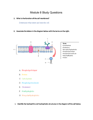 Module 7 study guide - Module 7 Study Questions What is Cell Theory ...