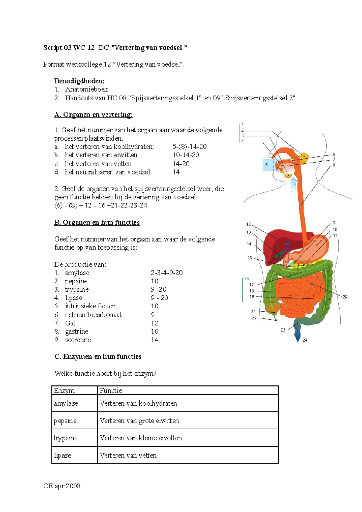 Script 03 V4 WC 12 DC 01 Vertering van voedsel - Script 03 WC 12 DC ...