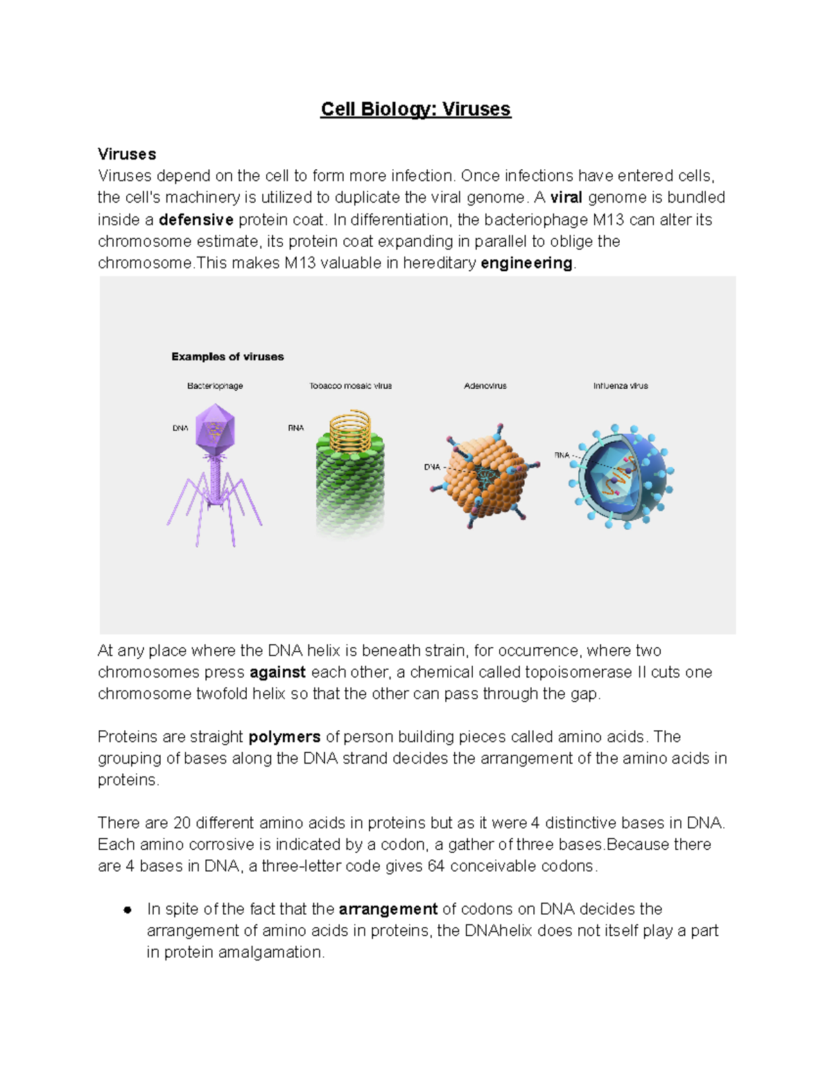Cell Biology Viruses - Cell Biology: Viruses Viruses Viruses depend on ...