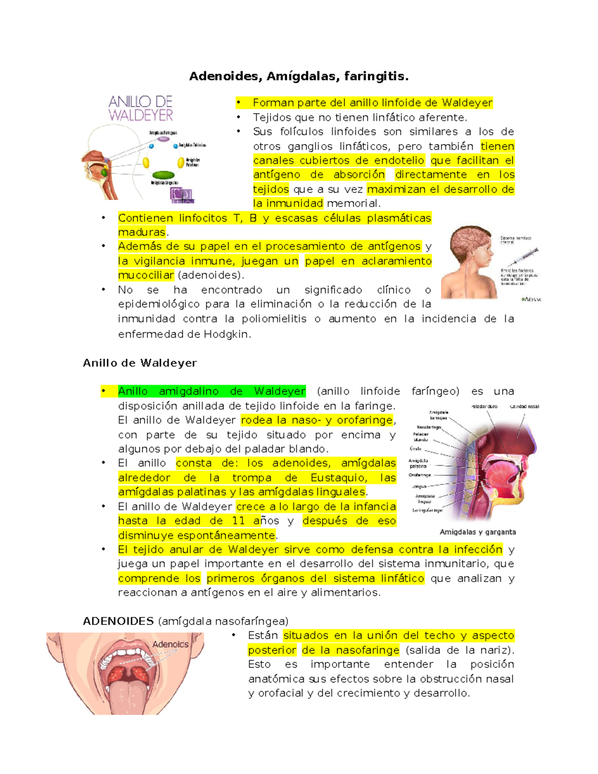 Adenoides, Amigdalitis,faringitis - Adenoides, Amígdalas, faringitis ...