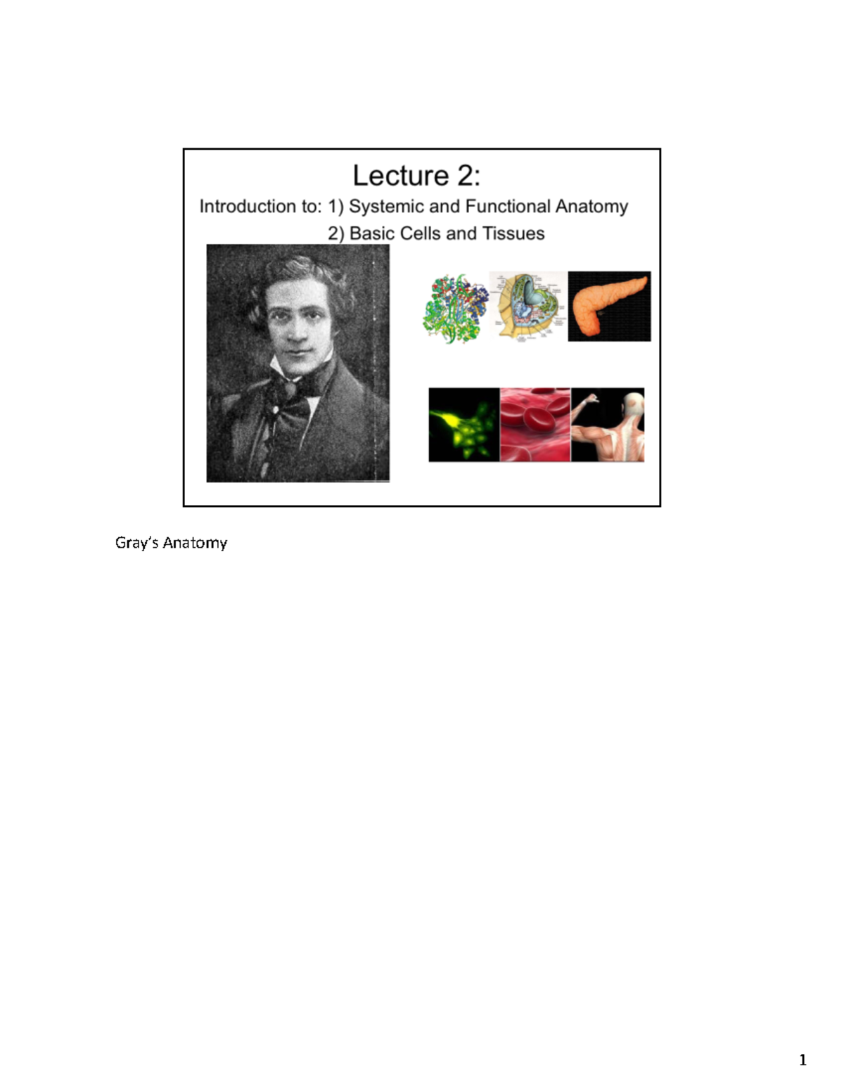 KIN2222 Basic Cells and Tissues - Gray’s Anatomy 1 Regional anatomy ...