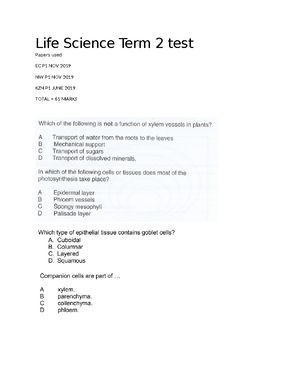 Lesson 1 Grade 10 Revision - Lesson 1 Grade 10- Revision Assessment ...