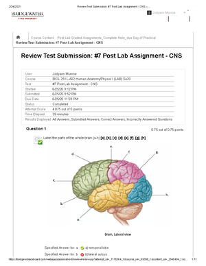 Review Test Submission Exam 4 - Chapters 11 and 12 – - - Studocu