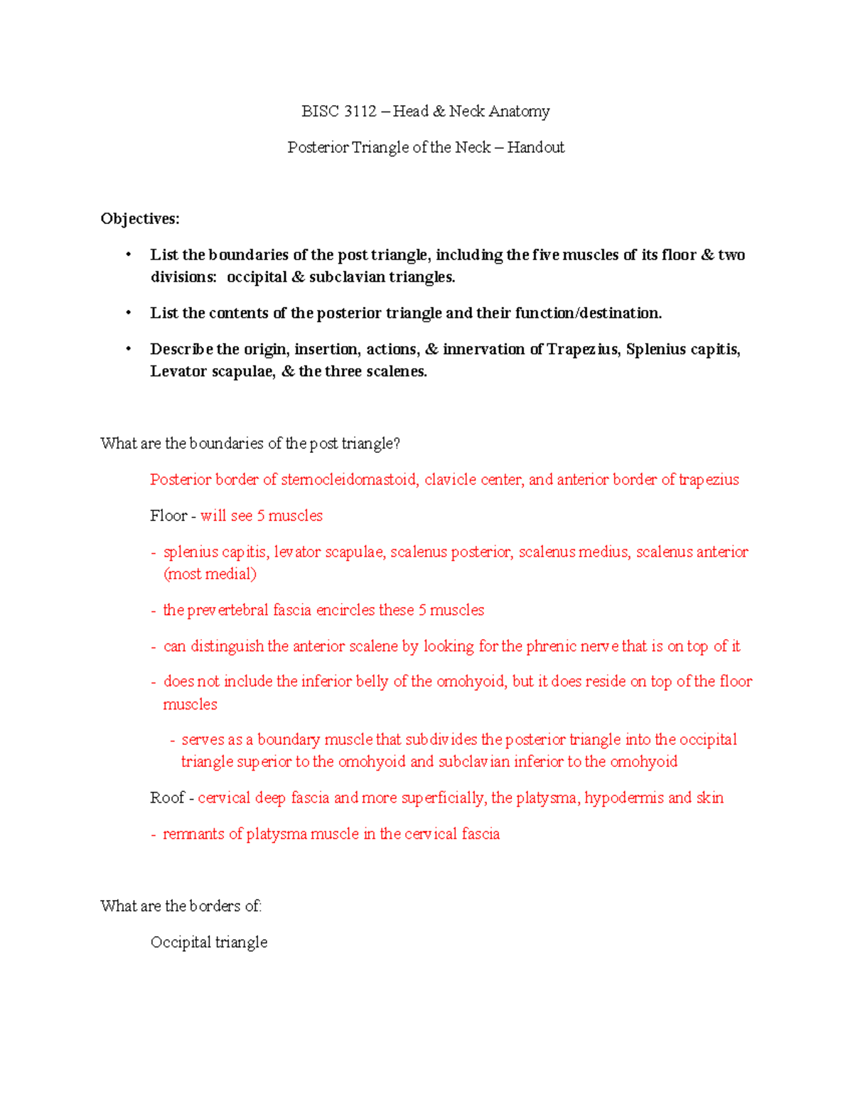 Lecture 4 Post Triangle of Neck - BISC 3112 – Head & Neck Anatomy ...