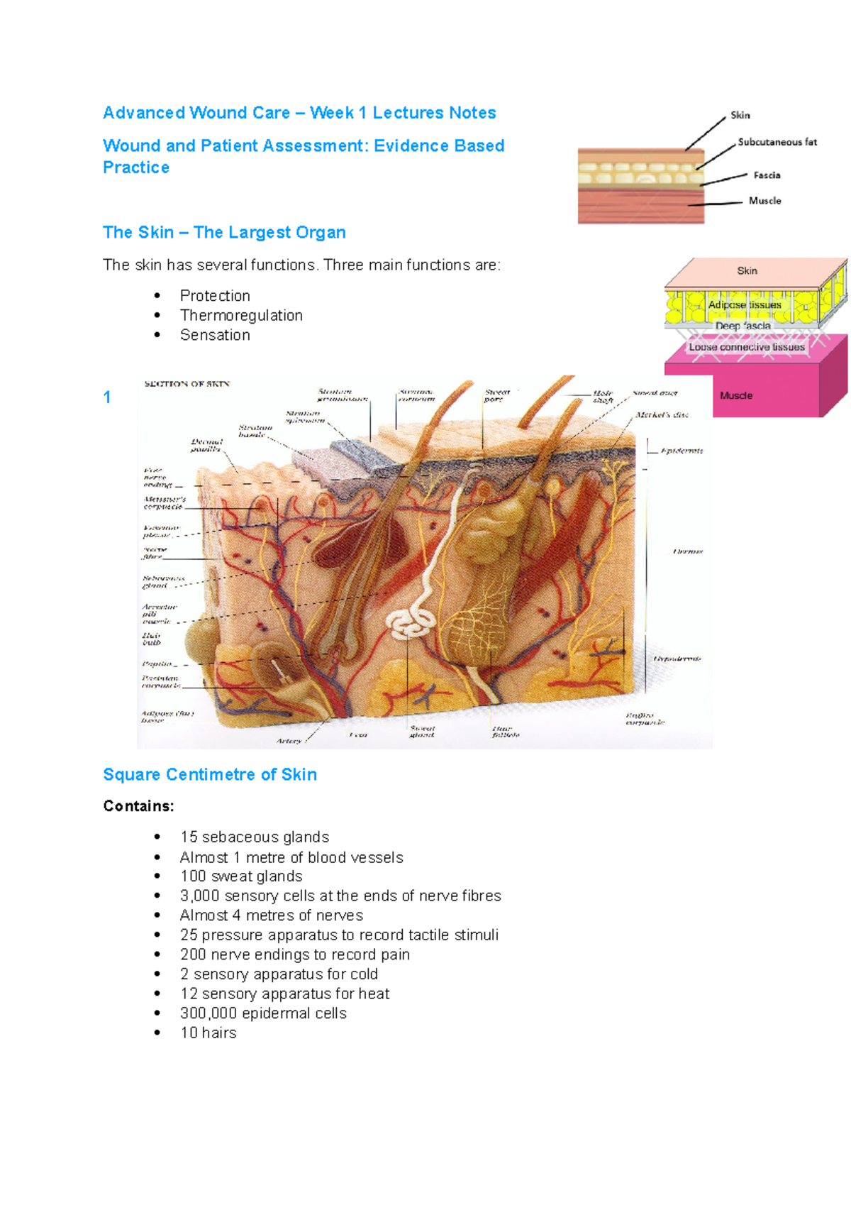 Advanced Wound Care - Week 1 Lecture Notes - Advanced Wound Care – Week ...