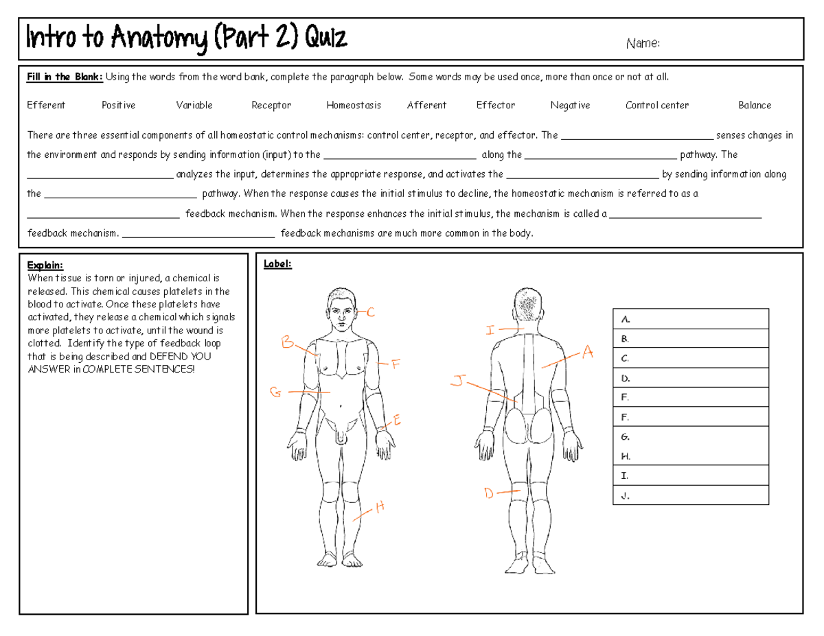 Intro to Anatomy Part 2 Quiz - Intro to Anatomy (Part 2 ) Quiz Name ...