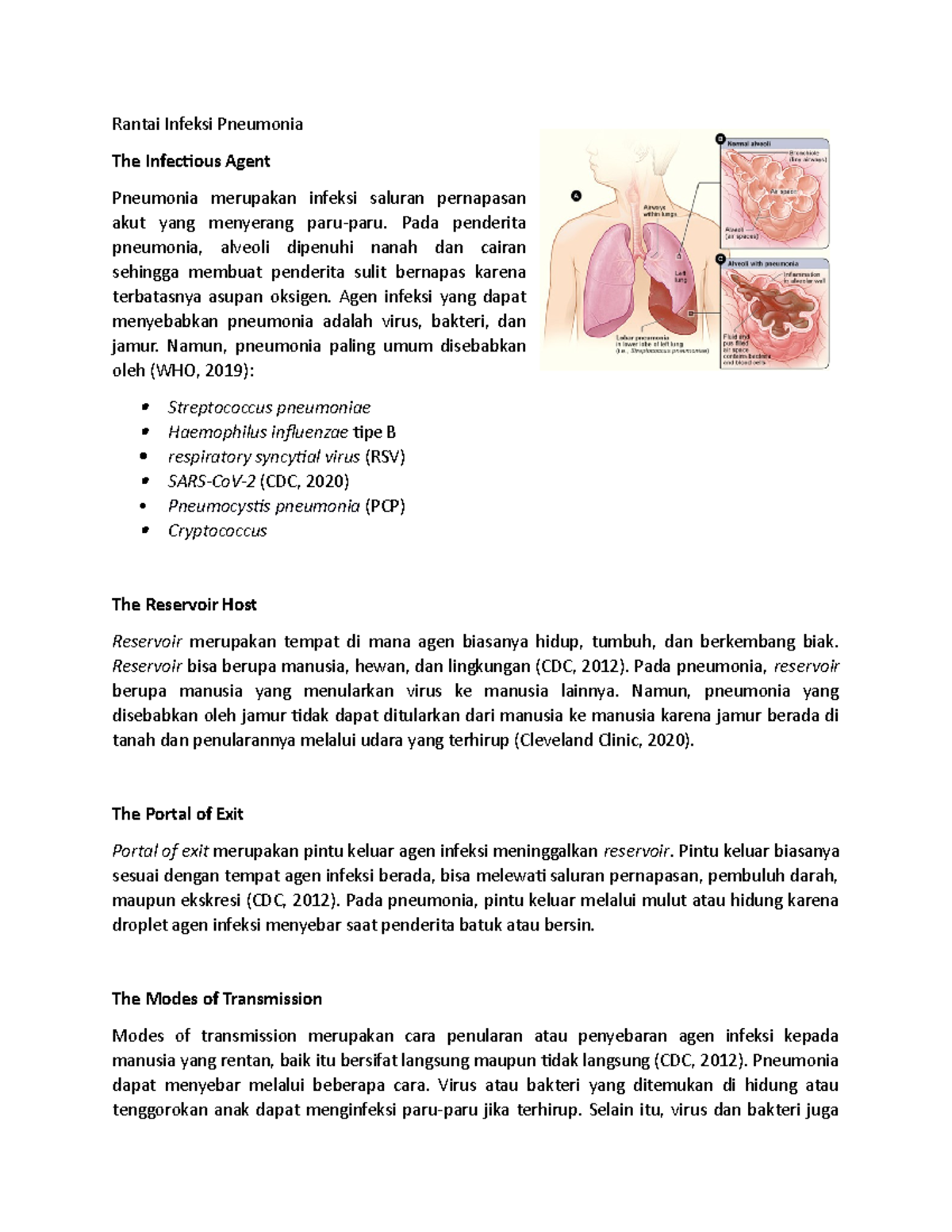 Rantai Infeksi Pneumonia - Pada penderita pneumonia, alveoli dipenuhi ...