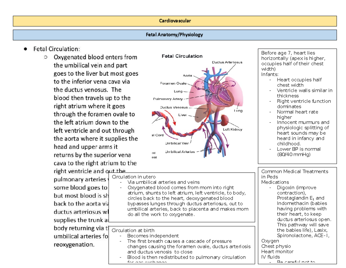 Cardio concept map - Lecture notes 5 - Common Medical Treatments in ...