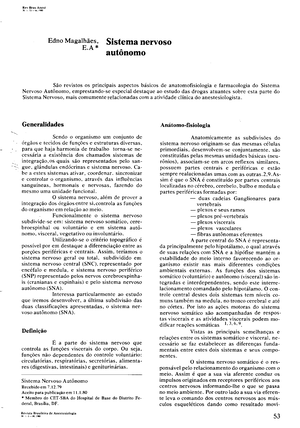 Somestesia - Anotaçoes de aula - Somestesia 07\06\ Somestesia: Ter a ...