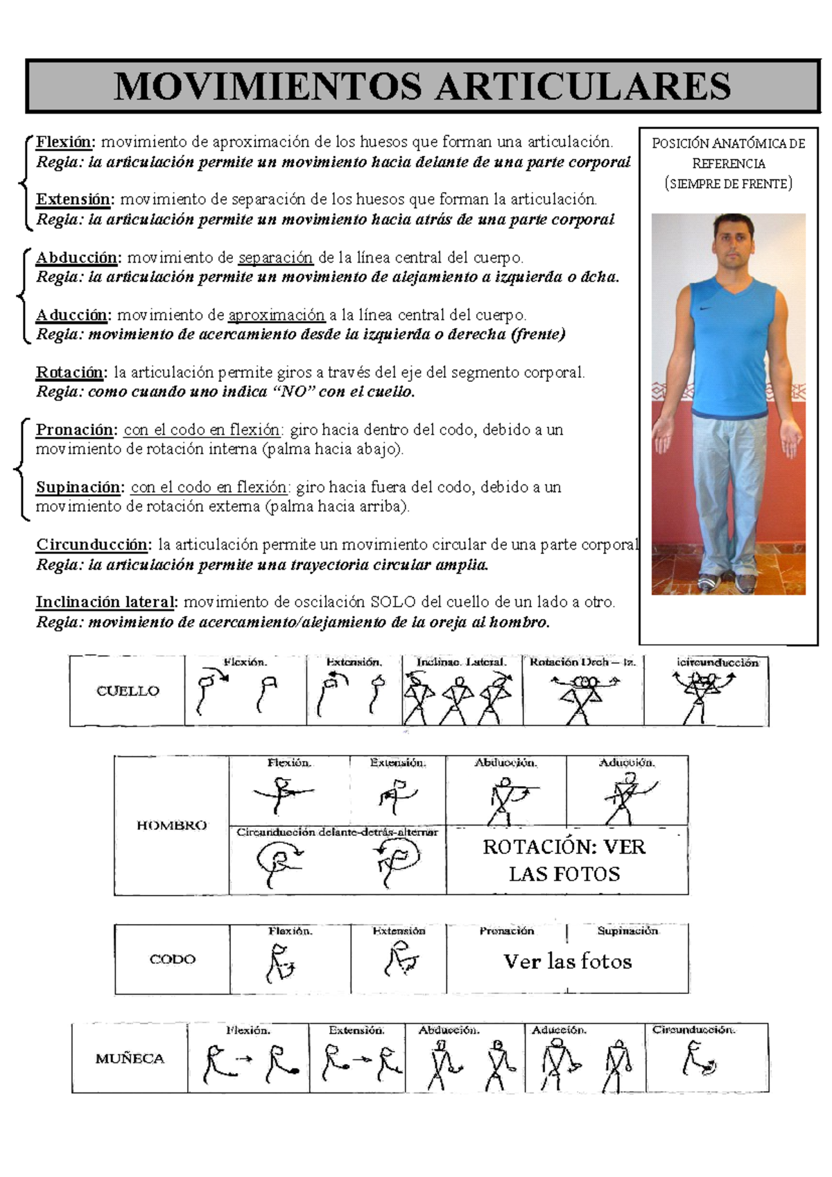 Movimientos articulares diversificacion - MOVIMIENTOS ARTICULARES Flexión: movimiento de - Studocu
