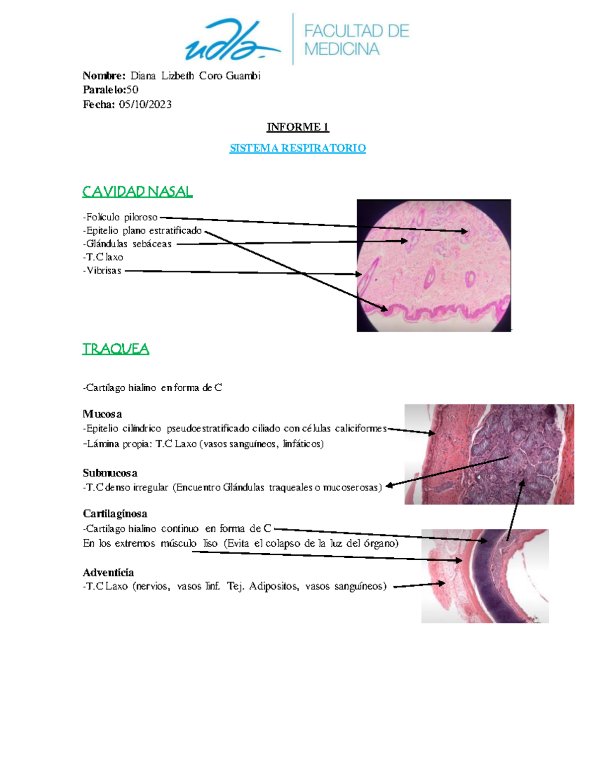Informe 3 Histol OGÍA - ... - Nombre: Diana Lizbeth Coro Guambi ...