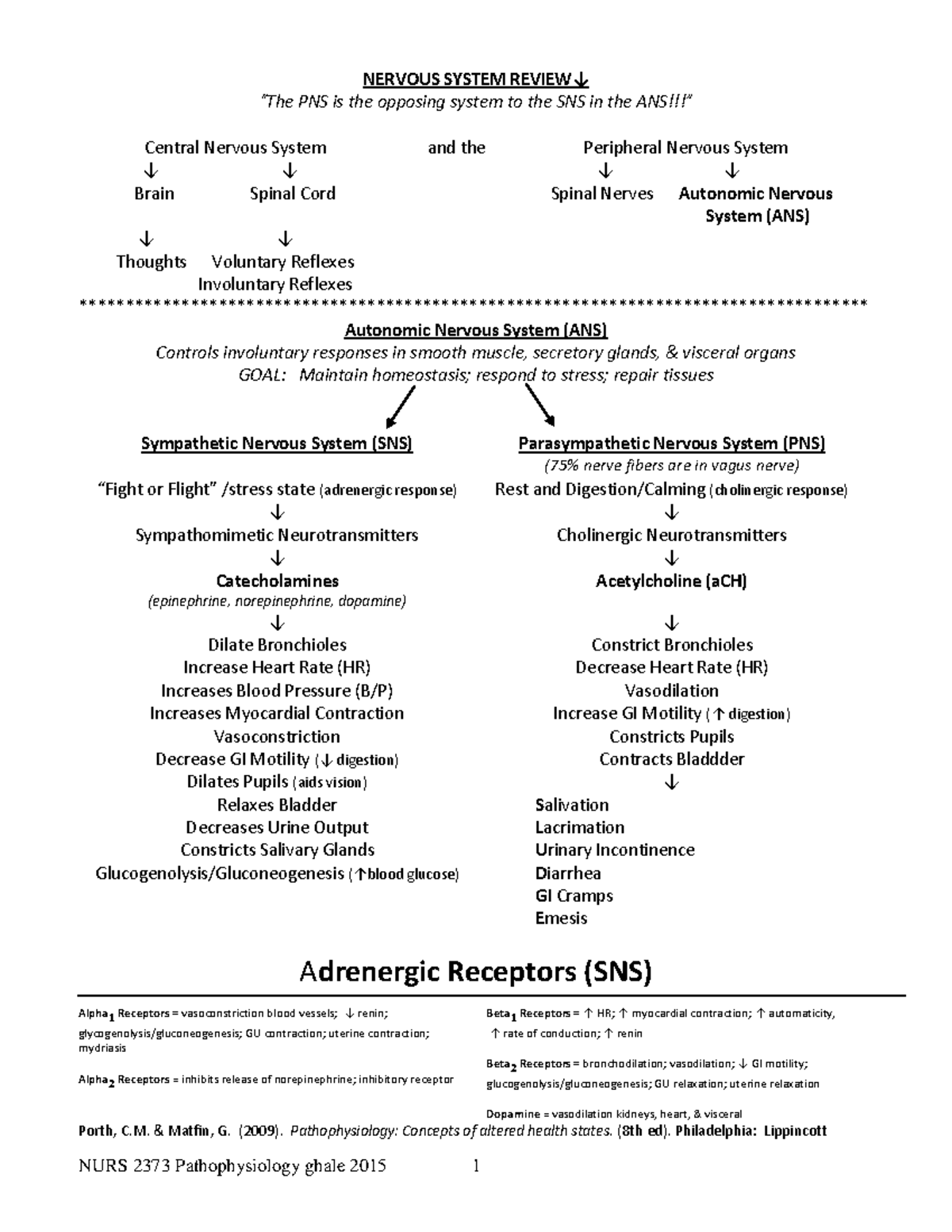 Nervous System Review - NURS 2373 Pathophysiology ghale 2015 1 NERVOUS ...