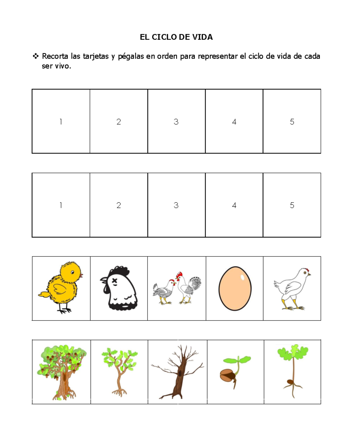Actividad en clases - hola - Biología Basica - EL CICLO DE VIDA Recorta ...