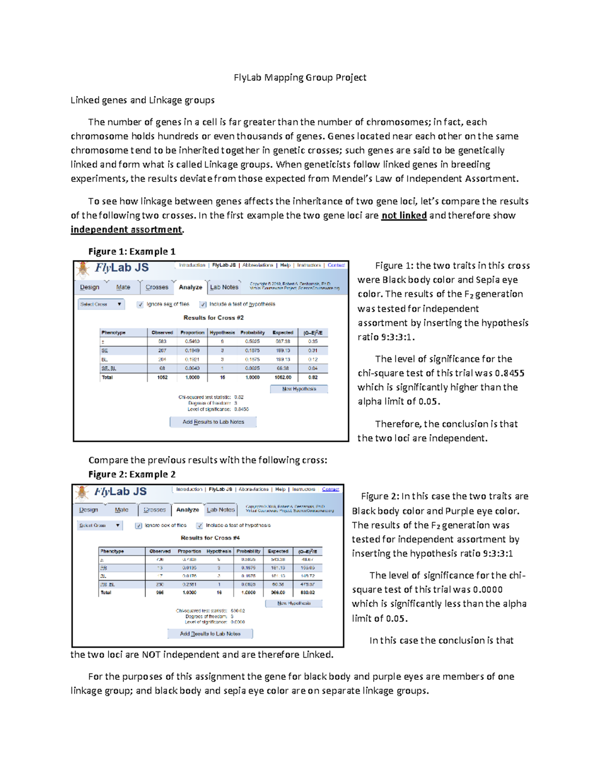 Fly Lab Mapping Group Project Guide - FlyLab Mapping Group Project ...