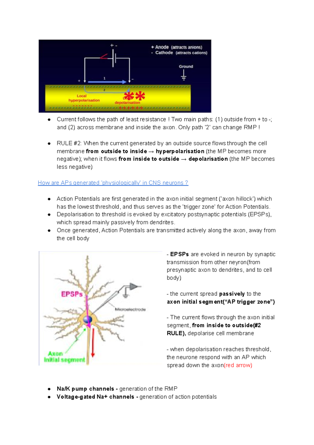 A Schematic Representation Of A Neuron A Note The
