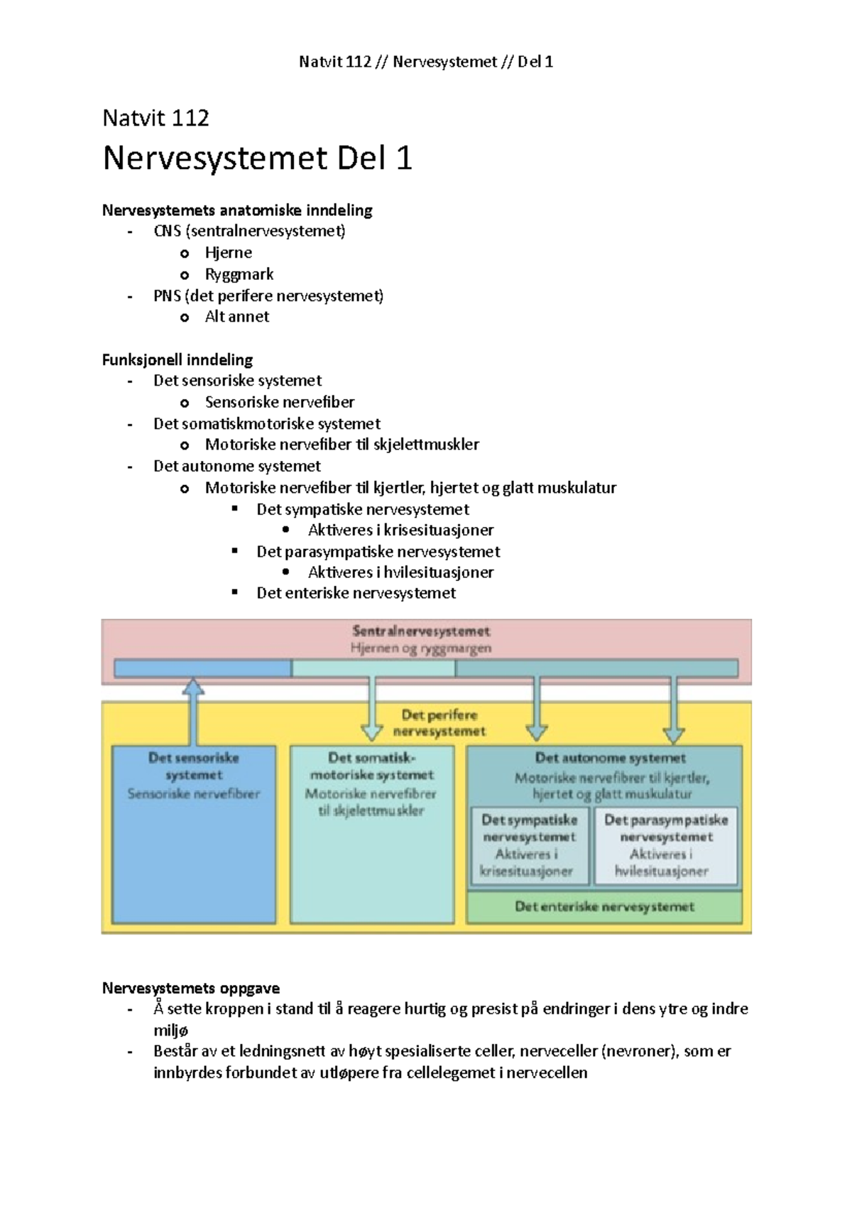 Natvit 112 - Nervesystemet - Natvit 112 // Nervesystemet // Del 1 ...