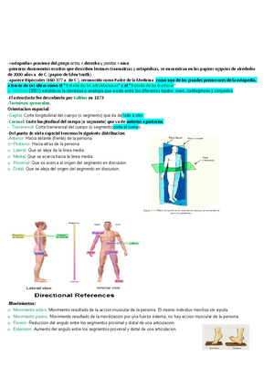Castellvi - REVIEW ARTICLE Lumbosacral Transitional Vertebrae ...