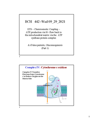 Lect22 Lipid metabolism Part1 - Fatty acid metabolism (part 1 ...