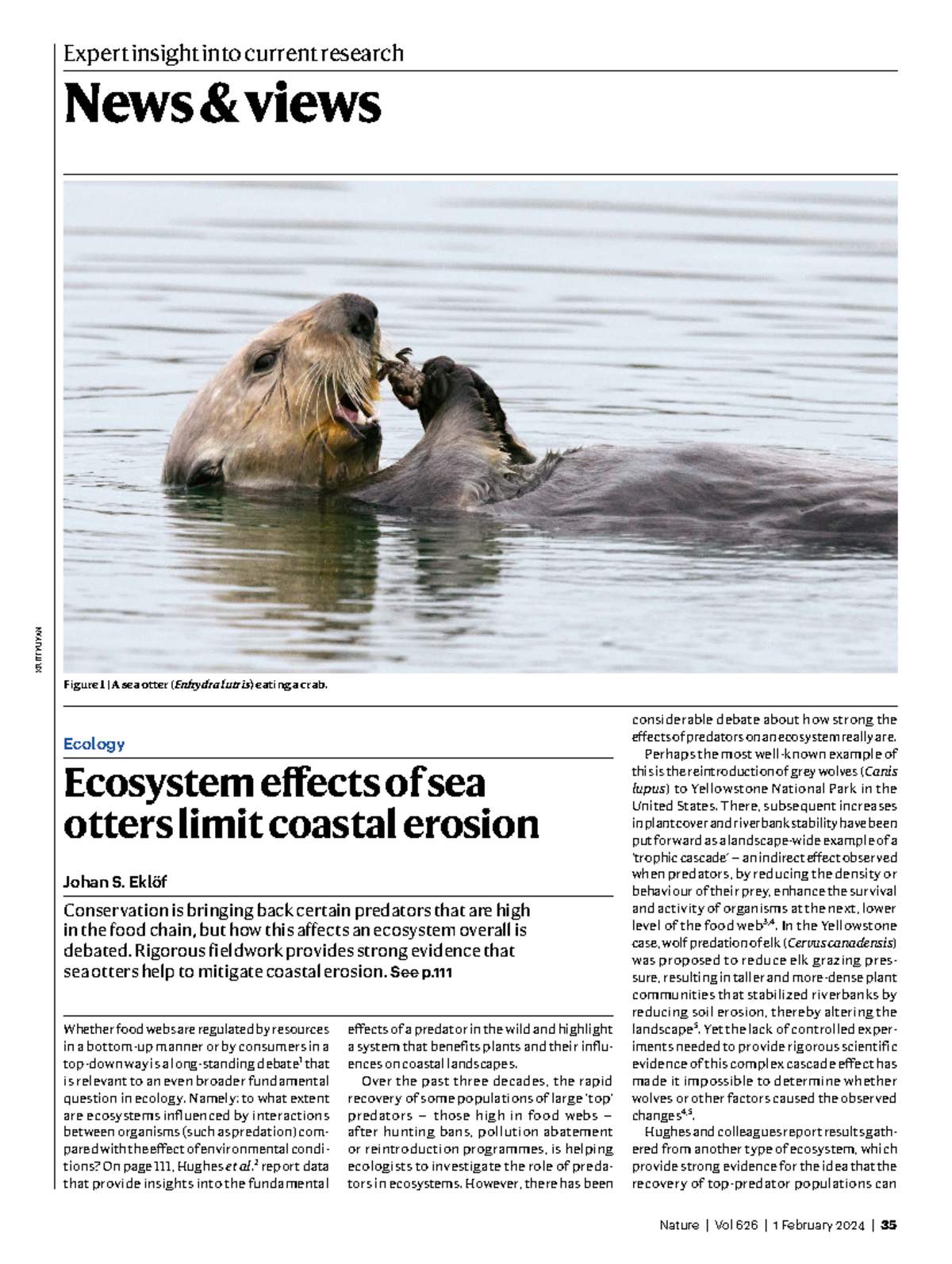 Ecosystem effects of sea otters limit coastal erosion - Whether food ...