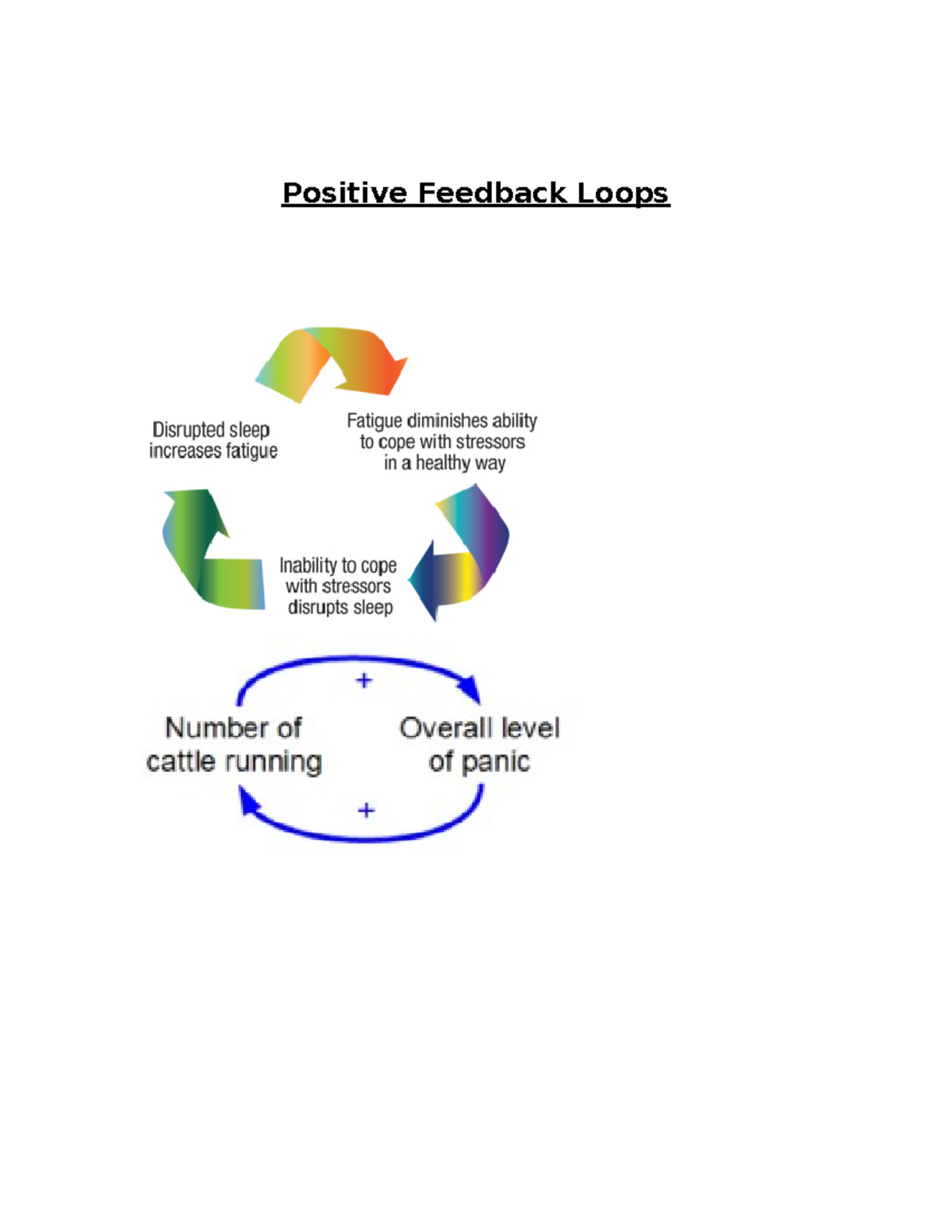 Diagrams of positive and negative feedback loops - Chem Bio 3Oa3 ...