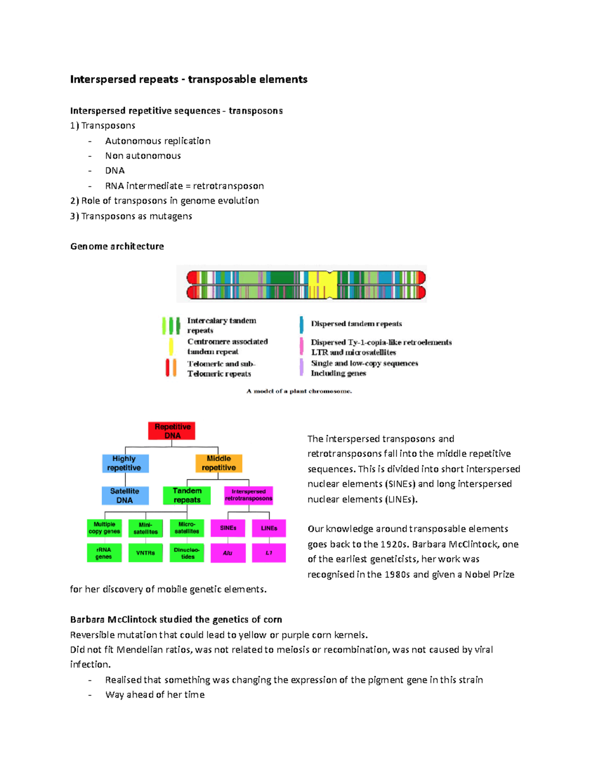 BIOL241 Melanie Module 7 - Interspersed repeats - transposable elements ...
