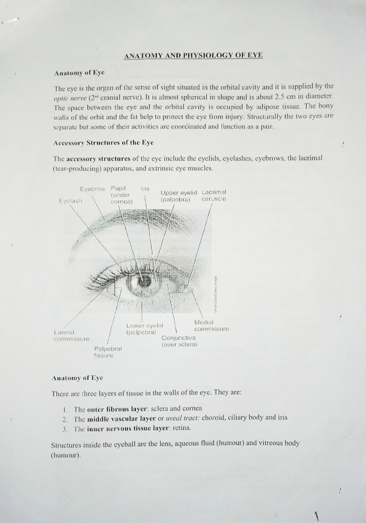 Anatomy and physiology of eye.ghjjn fghj. - Pharmacy - Studocu