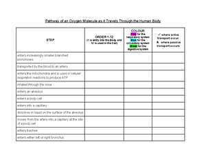 Blood Pressure Virtual Lab Data Chart - Activity 2: Blood Pressure ...