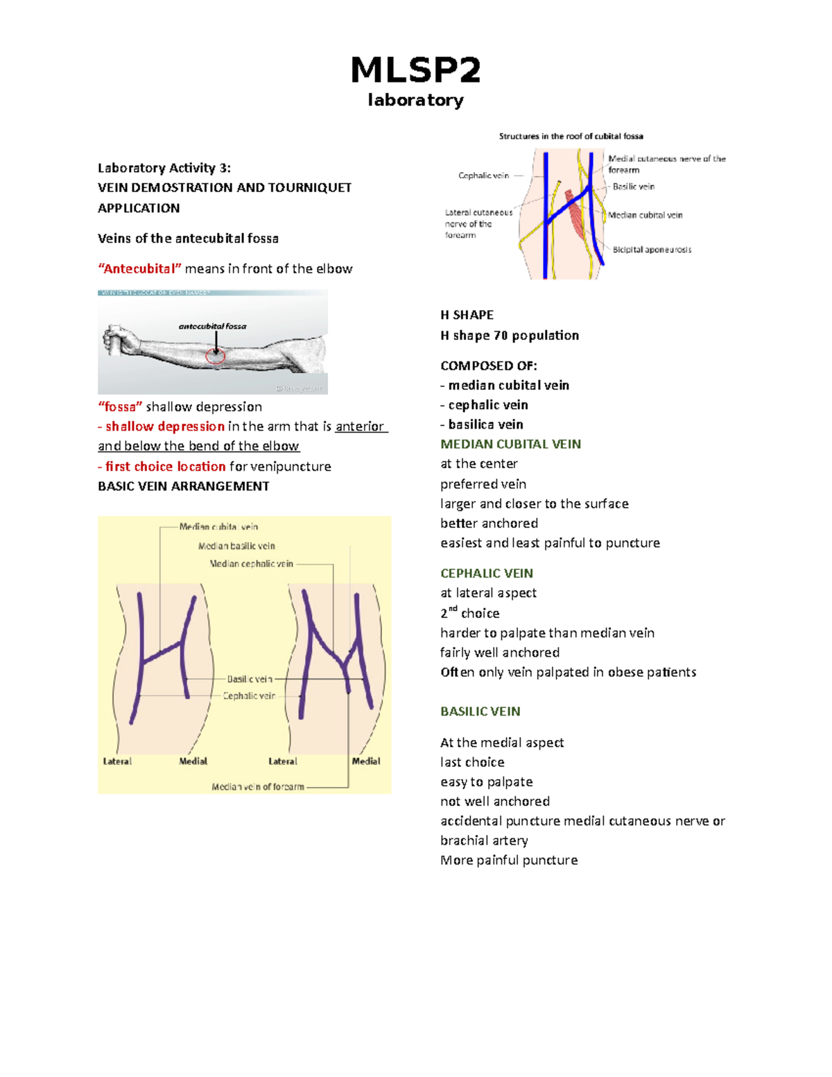 Laboratory Activity 3 - ddo not share - MLSP laboratory Laboratory ...