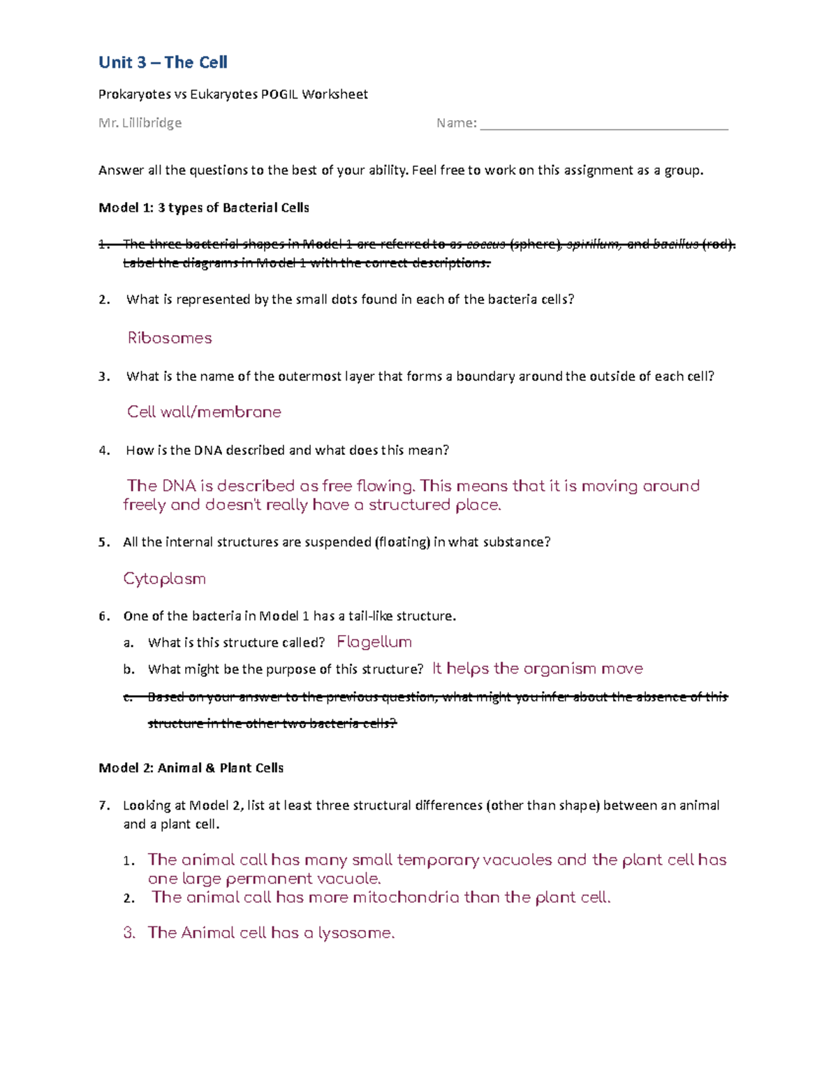 03 Prokaryotes vs Eukaryotes Pogil Worksheet-1 - Prokaryotes vs ...