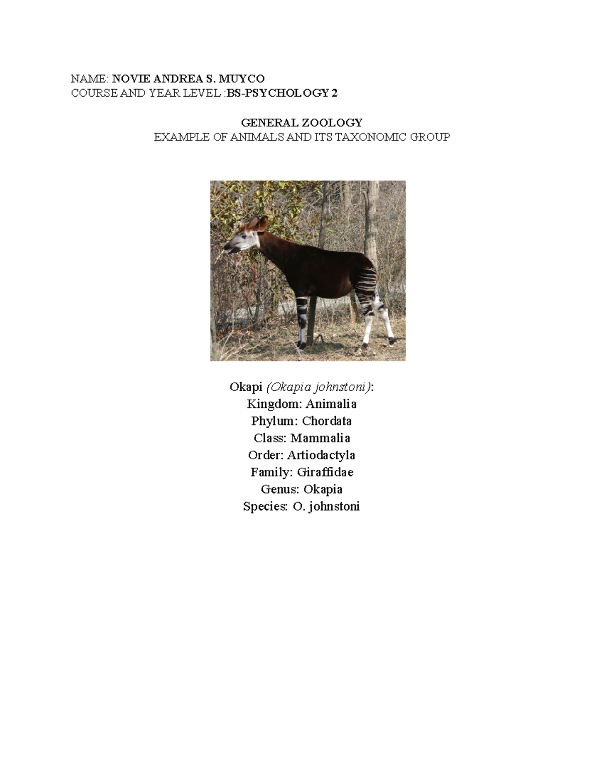 Animal Taxonomy( Assignment General Zoology) - NAME: NOVIE ANDREA S ...