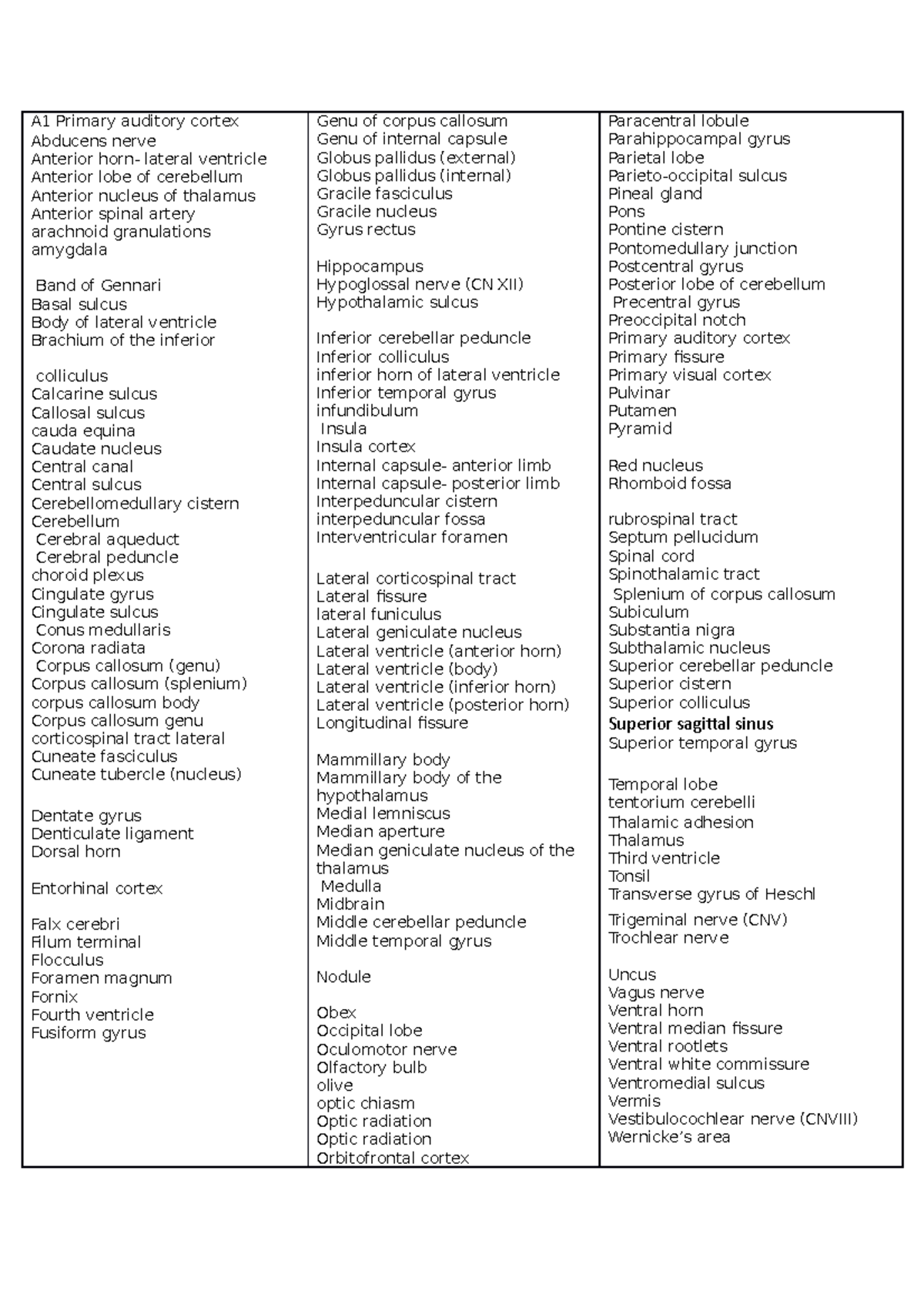 Prac sheet notes unisyd - A1 Primary auditory cortex Abducens nerve ...