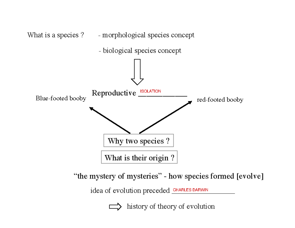 Module 4 (part 1) - Diversity of life - What is a species? Why two ...